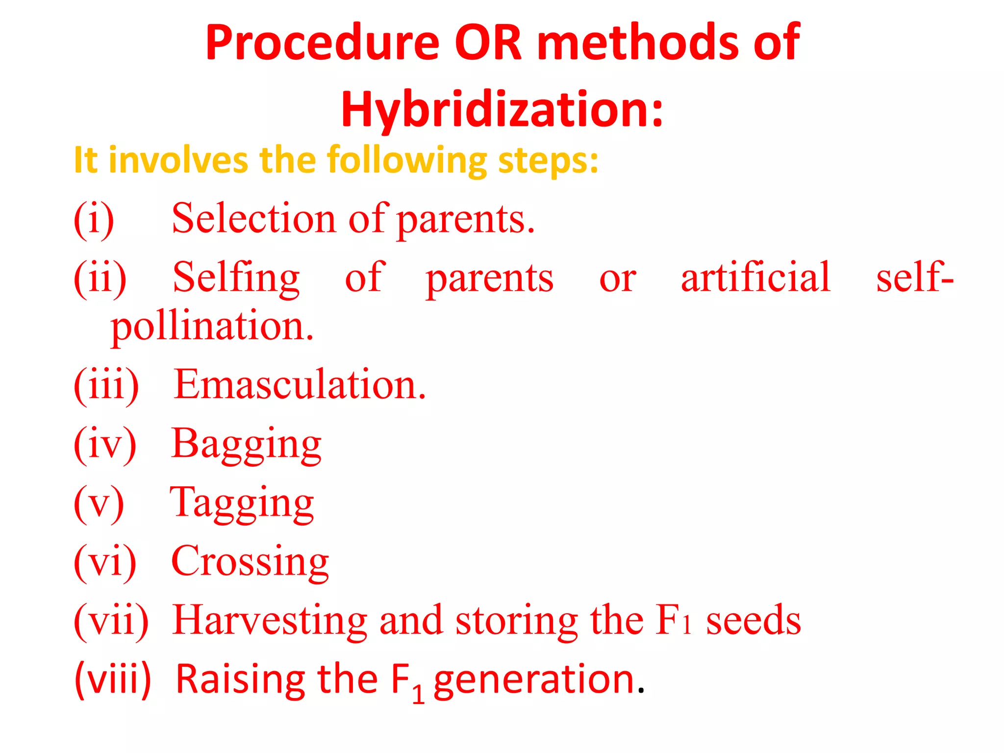Hybridization | PPTX