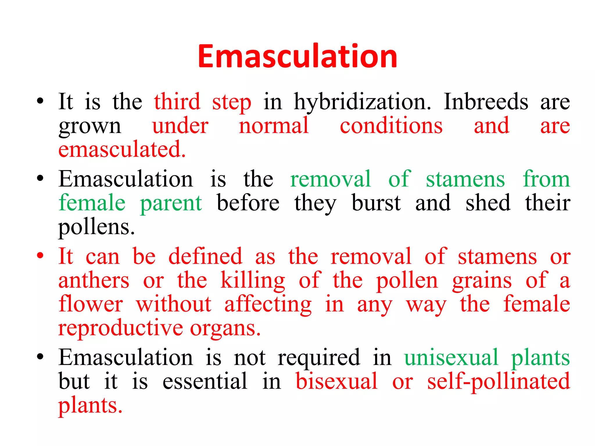 Hybridization | PPTX