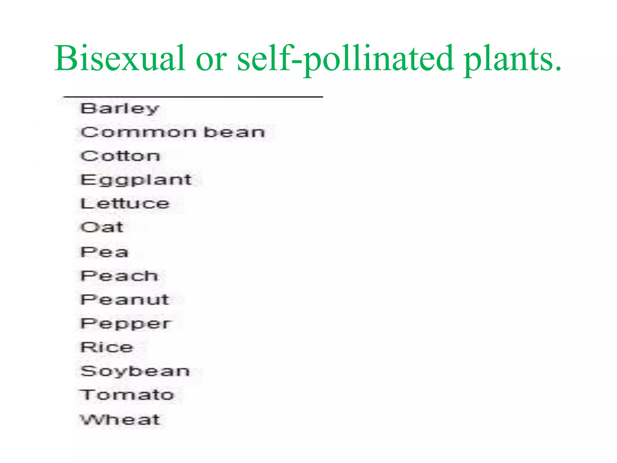 Hybridization | PPTX