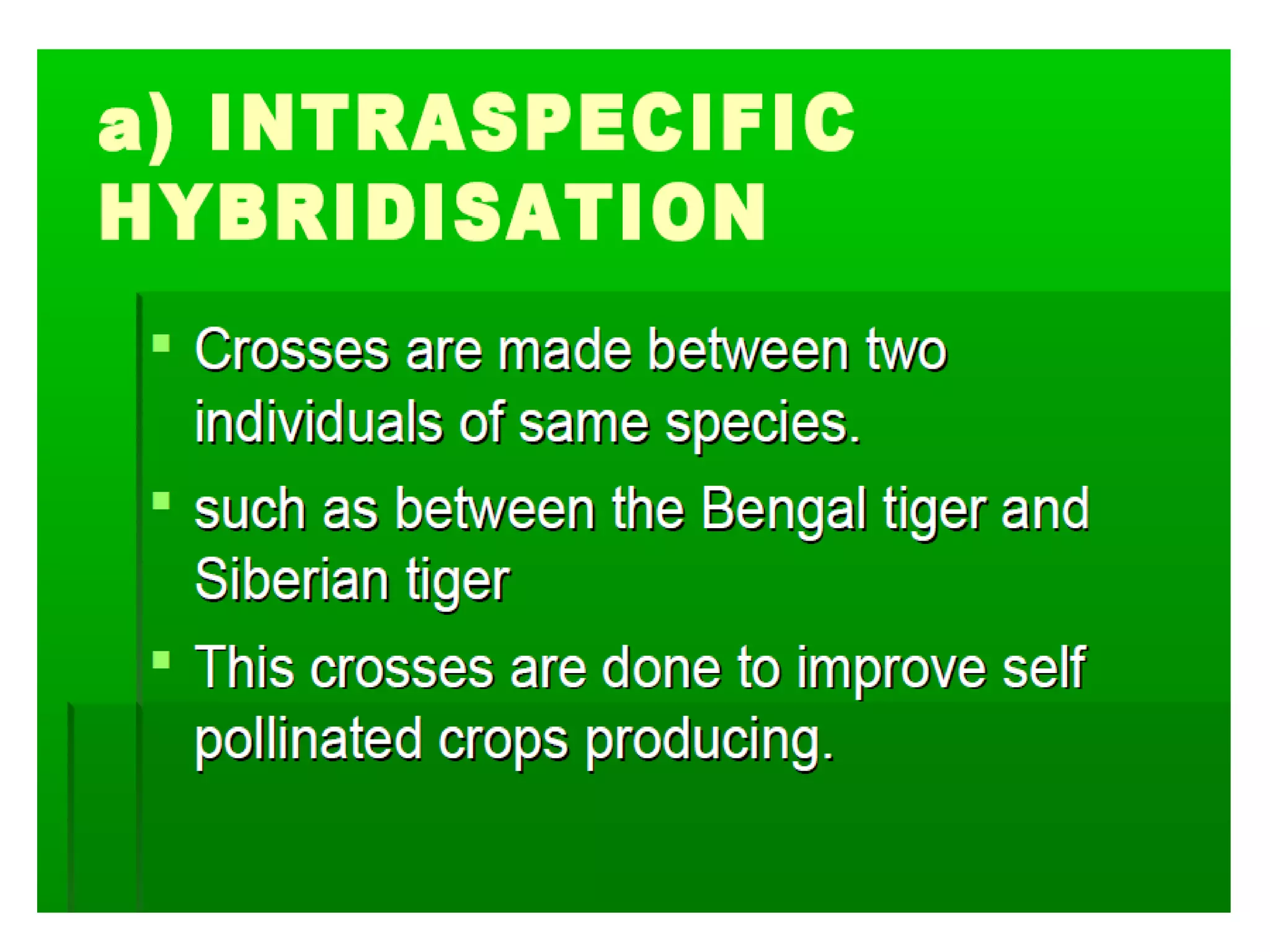 Hybridization | PPTX