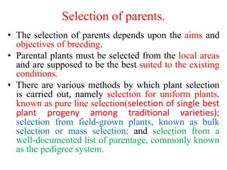 Hybridization | PPTX