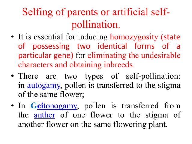 Hybridization | PPTX | Agriculture | Industries