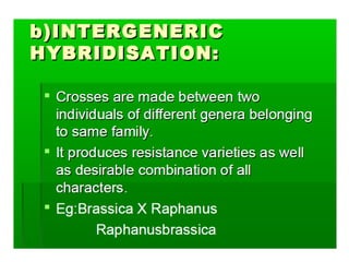 What Are Hybrids In Biology Definition