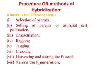 hybridization-200403024946 (1).pdf