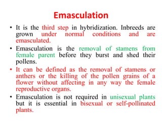 hybridization-200403024946 (1).pdf
