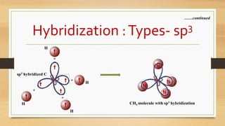 Hybridization | PPTX