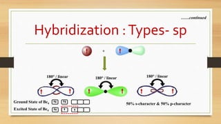 Hybridization | PPTX