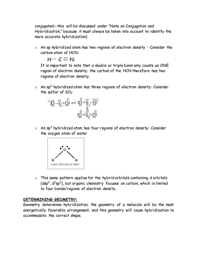 Hybridization | DOCX