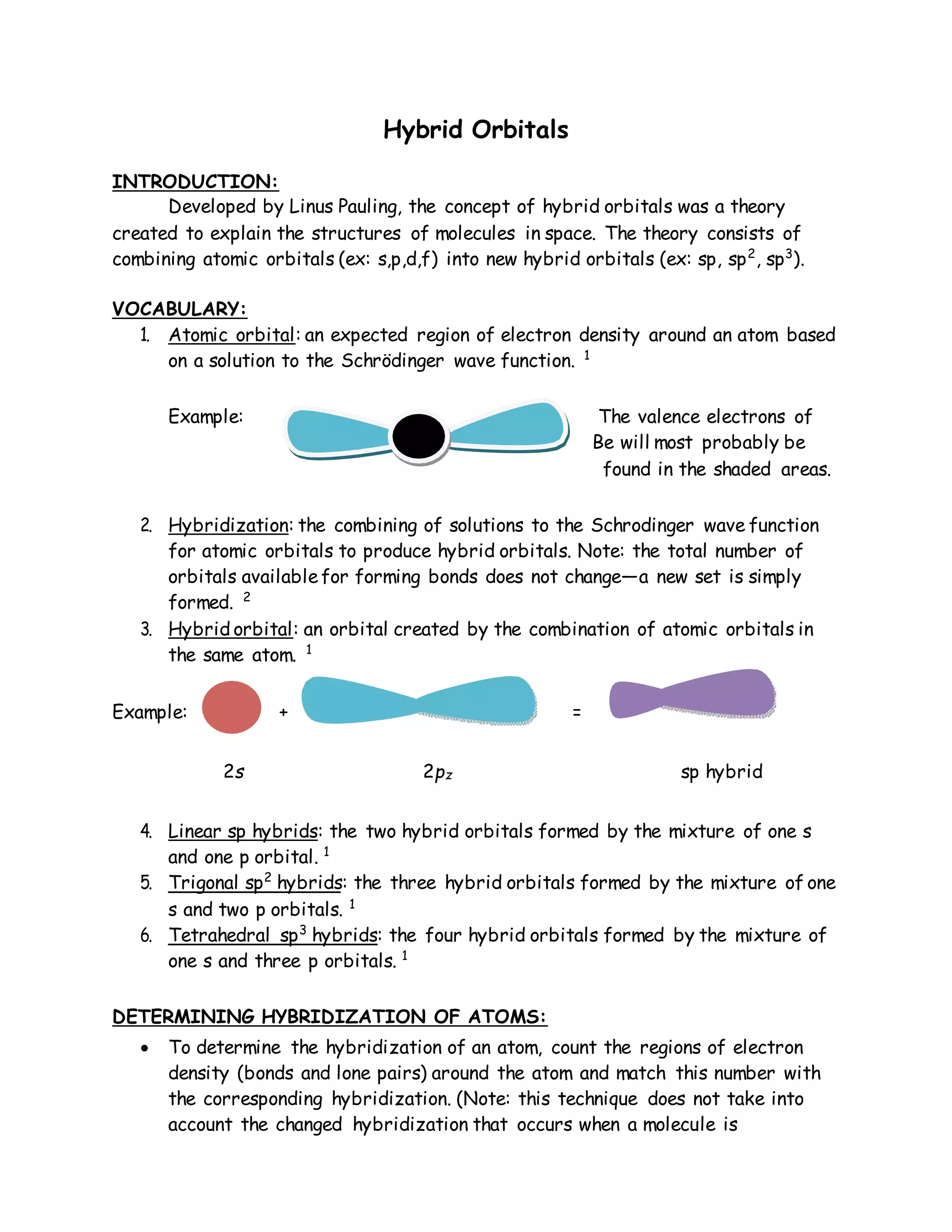 Hybridization | DOCX