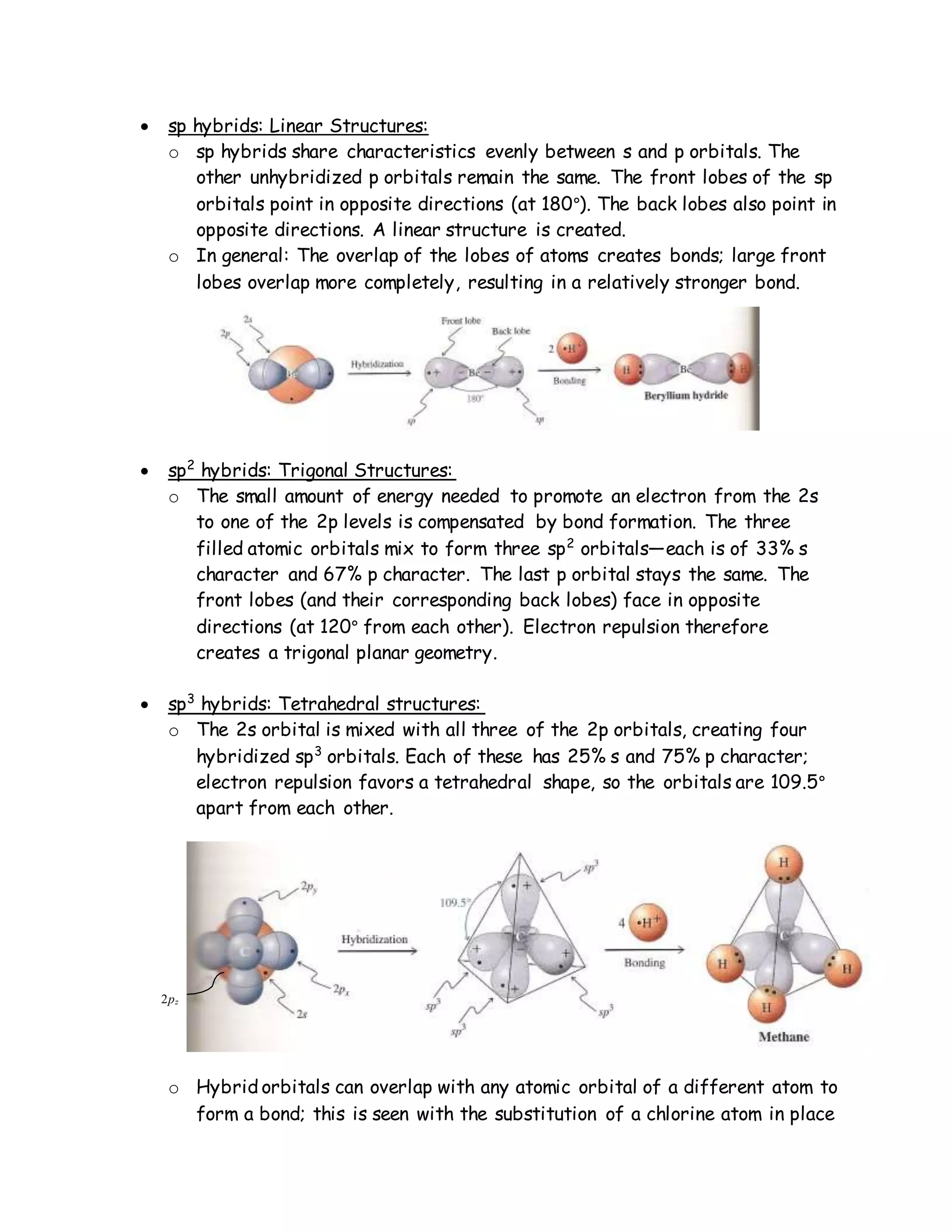 Hybridization | DOCX