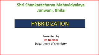 Hybridization | PDF