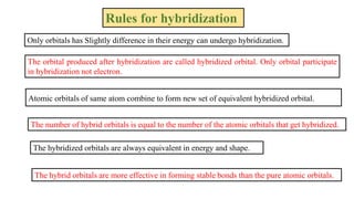 Hybridization | PDF