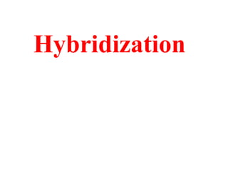 Hybridization | PPTX