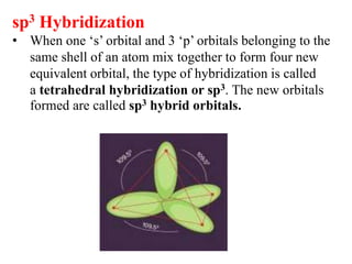 Hybridization | PPTX