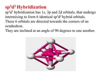 Hybridization | PPTX