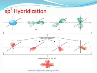Hybridization.pptx