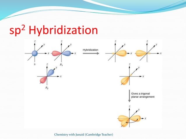 Hybridization.pptx