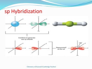 Hybridization.pptx