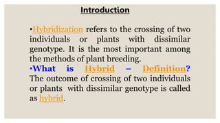 hybridization.pptx