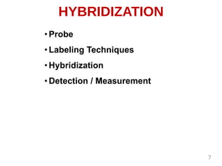 Hybridization.pptx