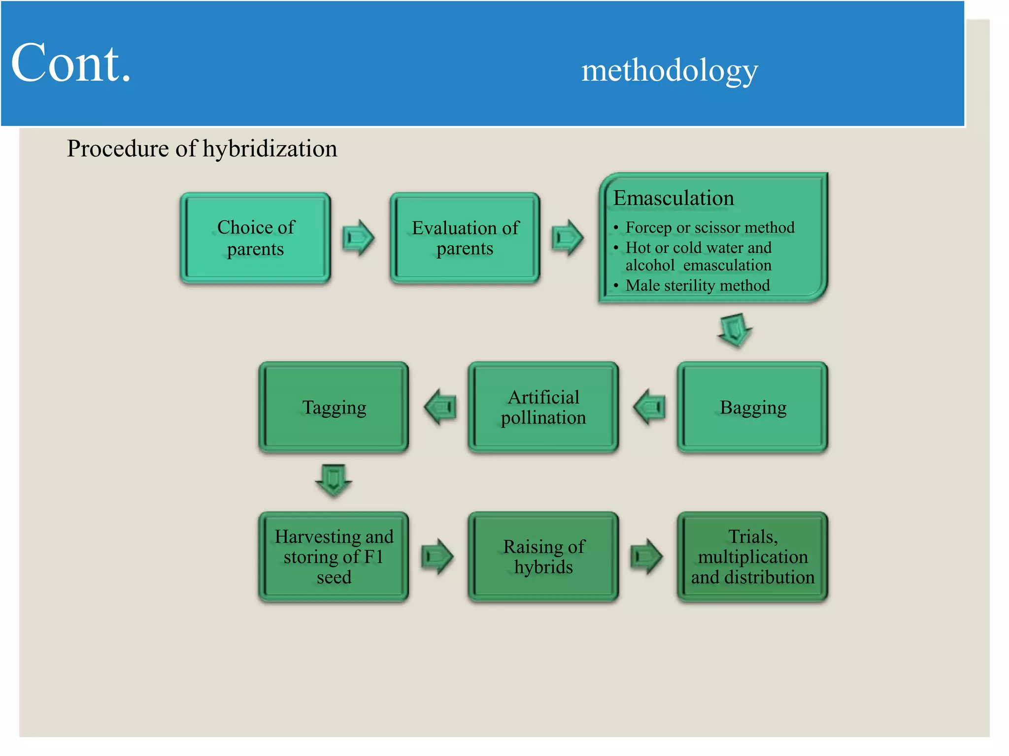 Hybridization shankar tripathi | PPTX