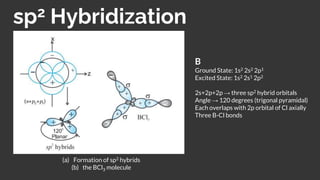 Hybridization (1).pptx
