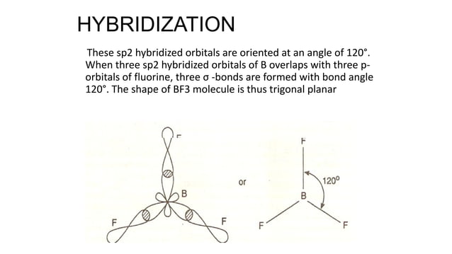 HYBRIDIZATION (1).pdf