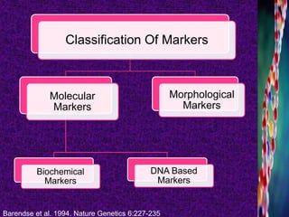 Hybridization based molecular markers 1 | PPTX