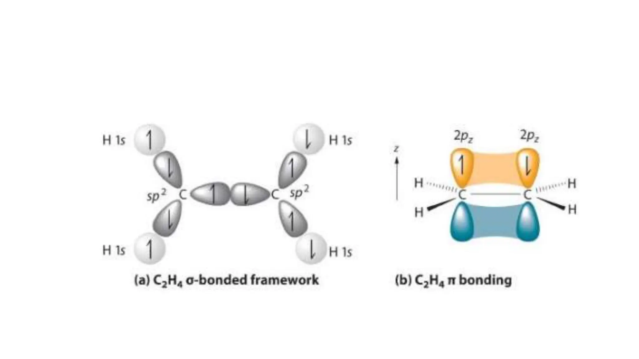 Hybridization Chemistry Pptx