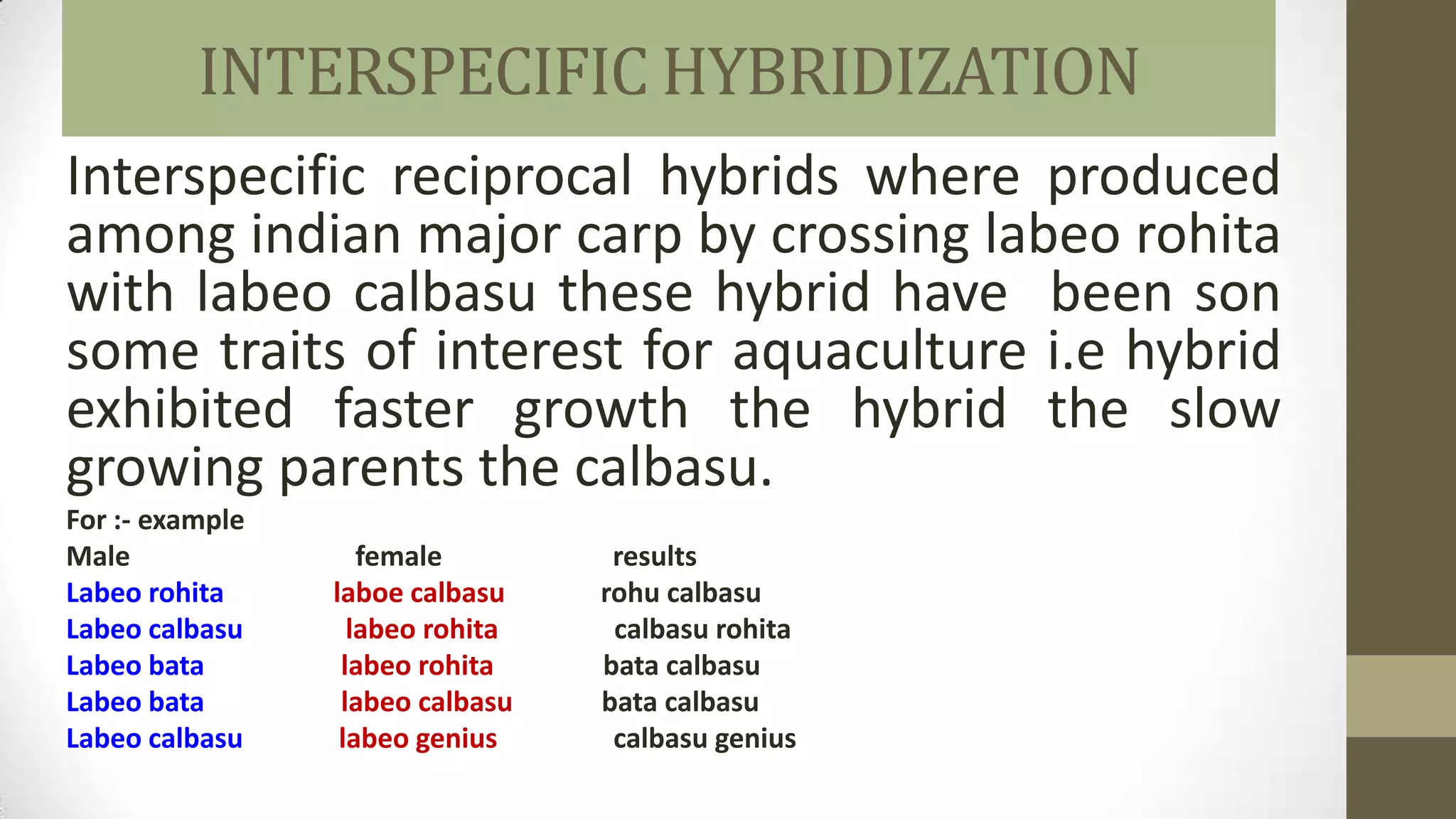 Hybridization in fishes | PPTX