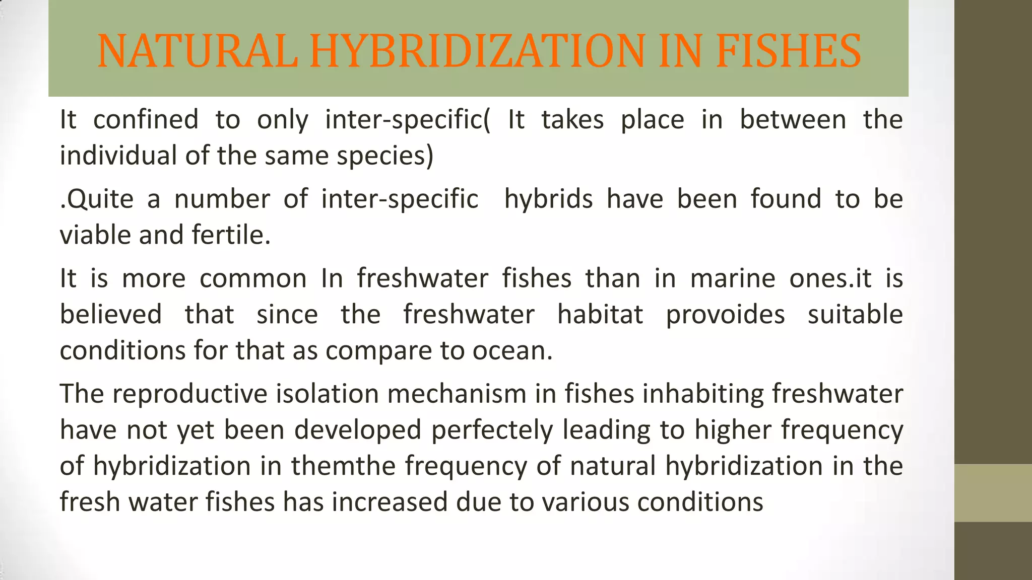 Hybridization in fishes | PPTX