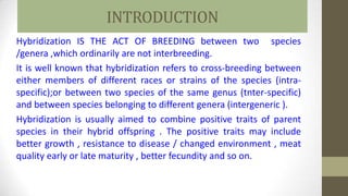 Hybridization in fishes | PPTX