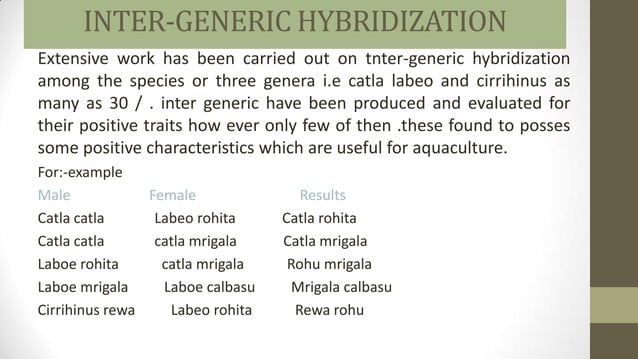 Hybridization in fishes | PPTX | Fish and Aquariums | Pets