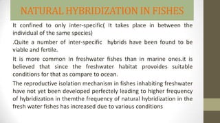 Hybridization in fishes | PPTX