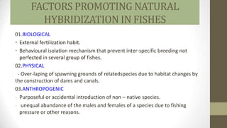 Hybridization in fishes | PPTX