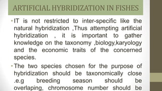 Hybridization in fishes | PPTX