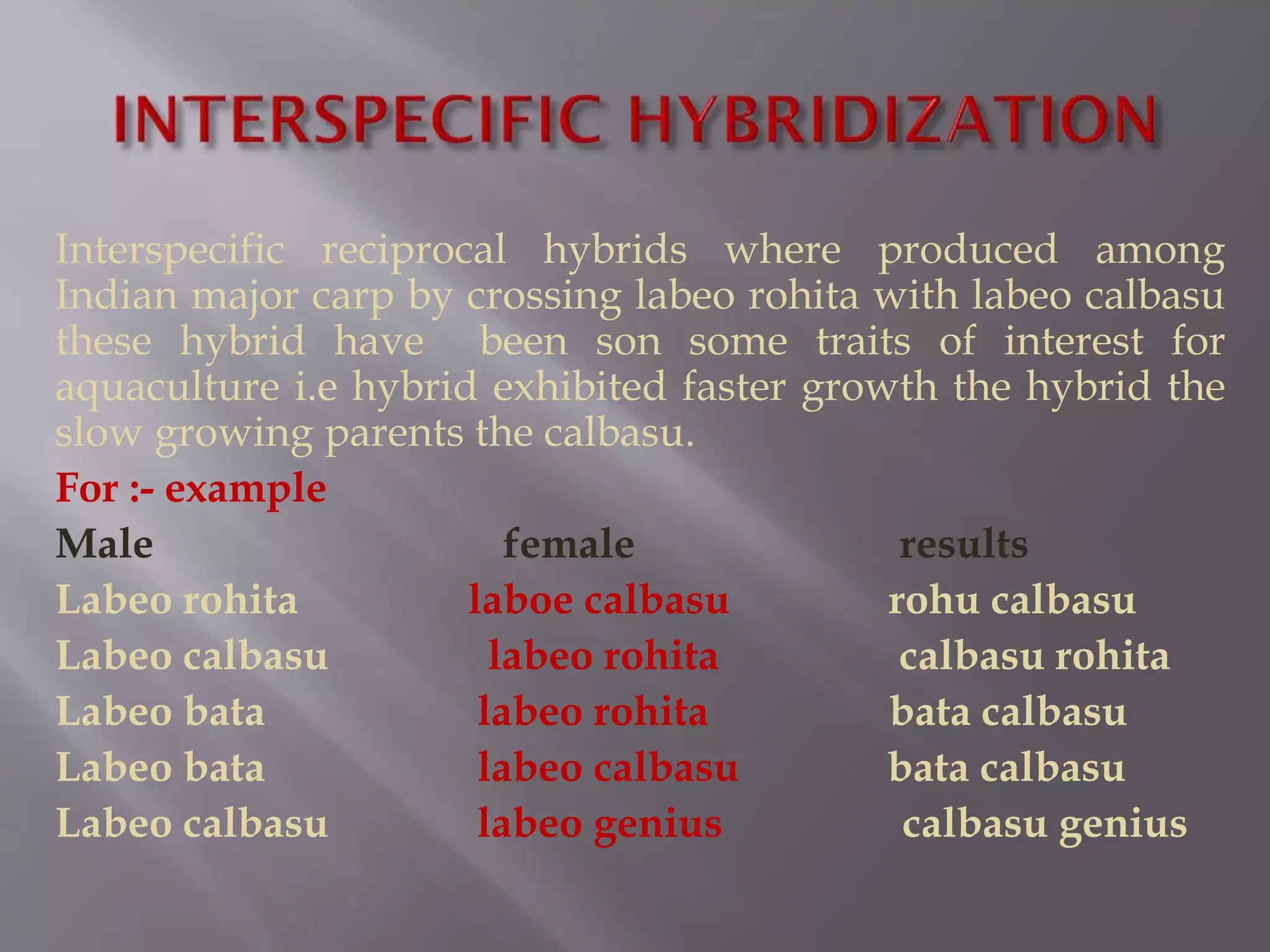 Hybridization in fishes | PPTX