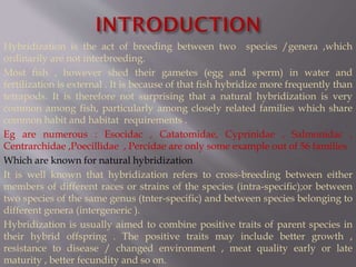 Hybridization in fishes | PPTX