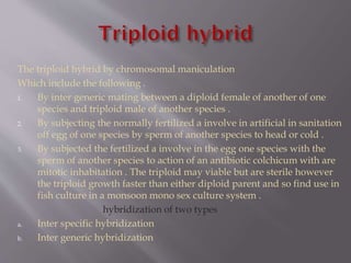 Hybridization in fishes | PPTX