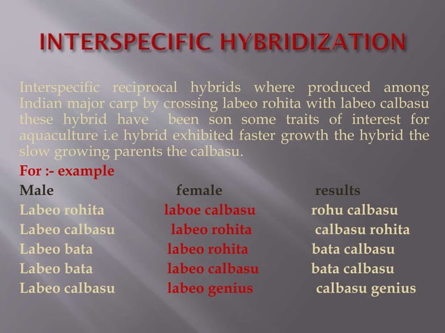 Hybridization in fishes | PPT