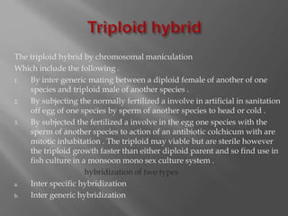 Hybridization in fishes | PPTX