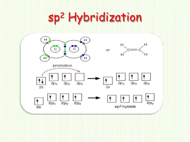hybridization Lecture 1.pptx | Free Download