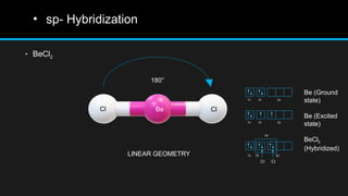 Hybridization science exhibition ppt.pptx