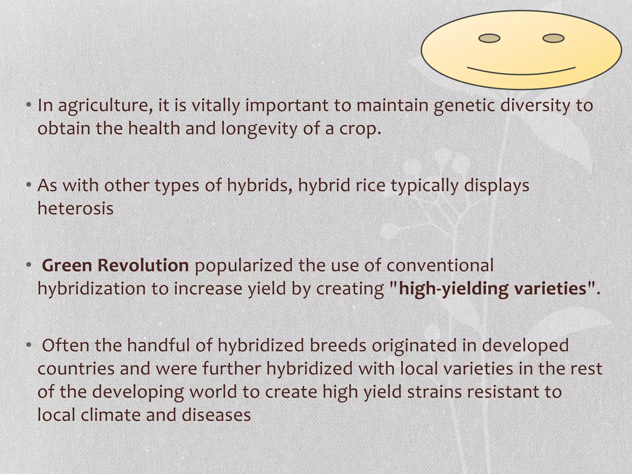 Hybridization technique in rice | PPTX