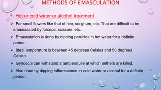 HYBRIDIZATION TECHNIQUES.power point presentation | PPTX