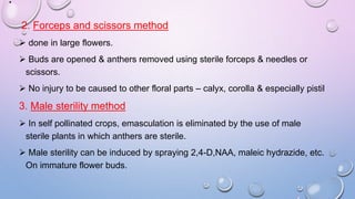 HYBRIDIZATION TECHNIQUES.power point presentation | PPTX