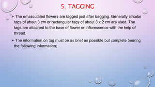 HYBRIDIZATION TECHNIQUES.power point presentation | PPTX