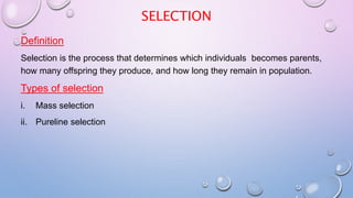 HYBRIDIZATION TECHNIQUES.power point presentation | PPTX