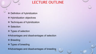 HYBRIDIZATION TECHNIQUES.power point presentation | PPTX