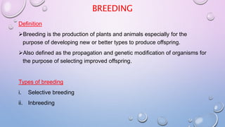 HYBRIDIZATION TECHNIQUES.power point presentation | PPTX